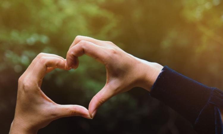Help for those impacted by tornadoes in Ohio | Union Plus Help for those impacted by tornadoes in Ohio | Union Plus