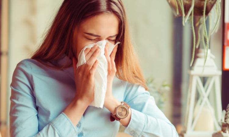 Conquer allergy season: Exploring safer antihistamines | Union Plus