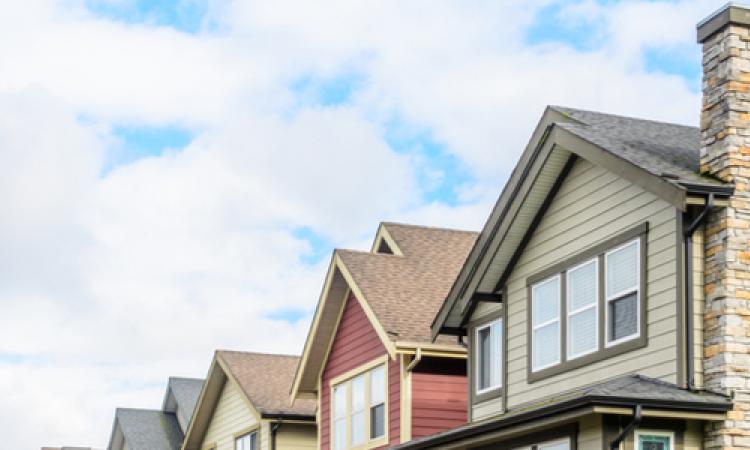 Eight Ways to Help Your Neighborhood | Union Plus